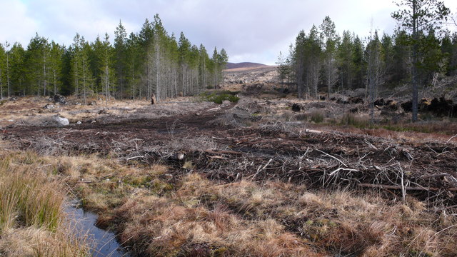 Sápmi: kampen mellan Muonio sameby och Sveaskog - Revolution